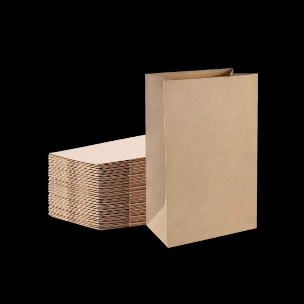 8lb - 80gsm Kraft Paper Bag 500/pcs Brown - Jan Star Supplies Inc.